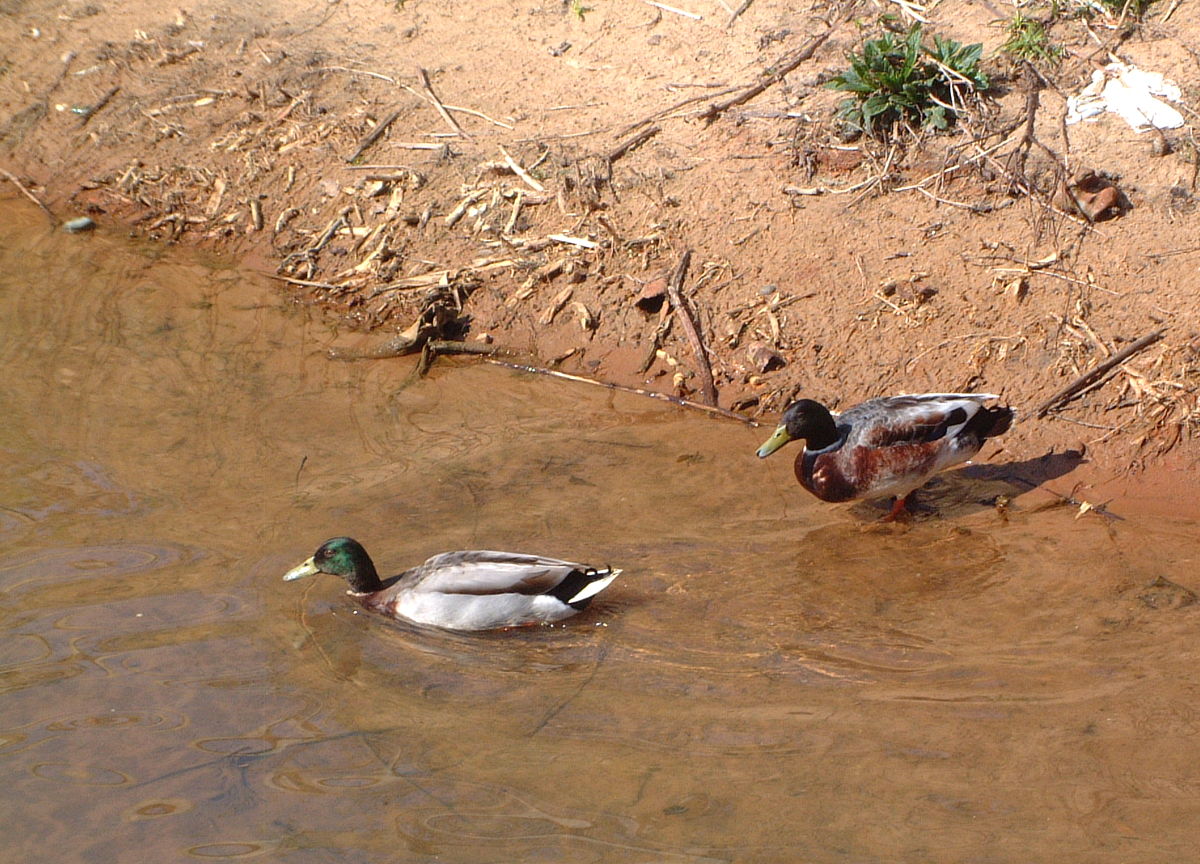 Halesworth Area Events Calendar - Events for Wednesday, 2nd September ...